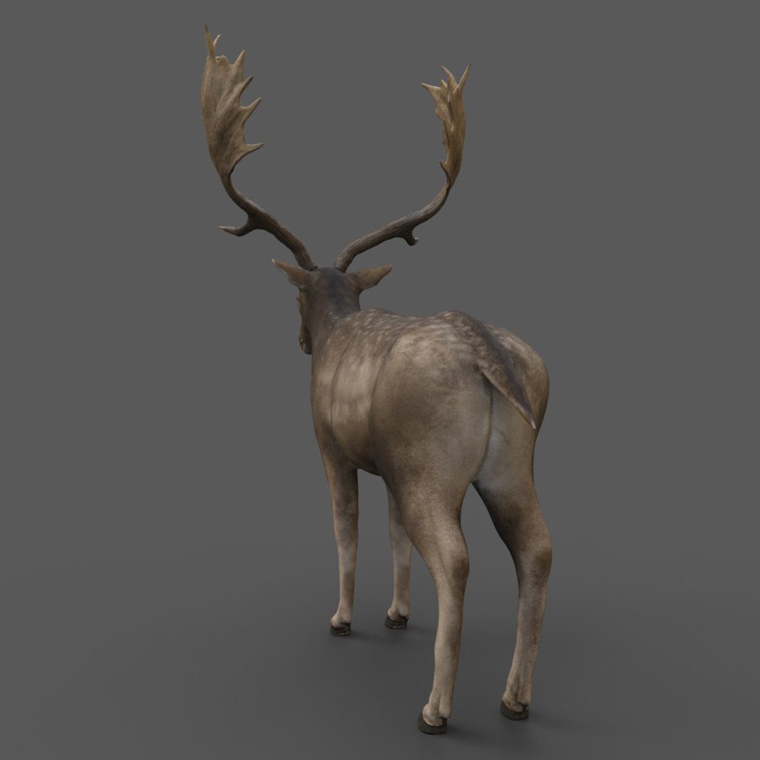 3D Model Fallow Deer - TurboSquid 1208914
