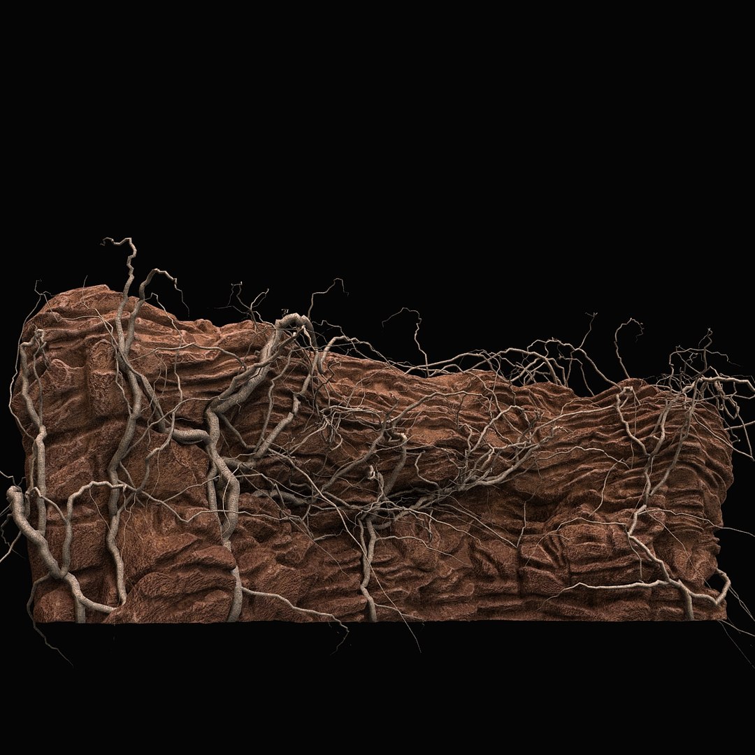 Rock Roots 3D Model - TurboSquid 1270174