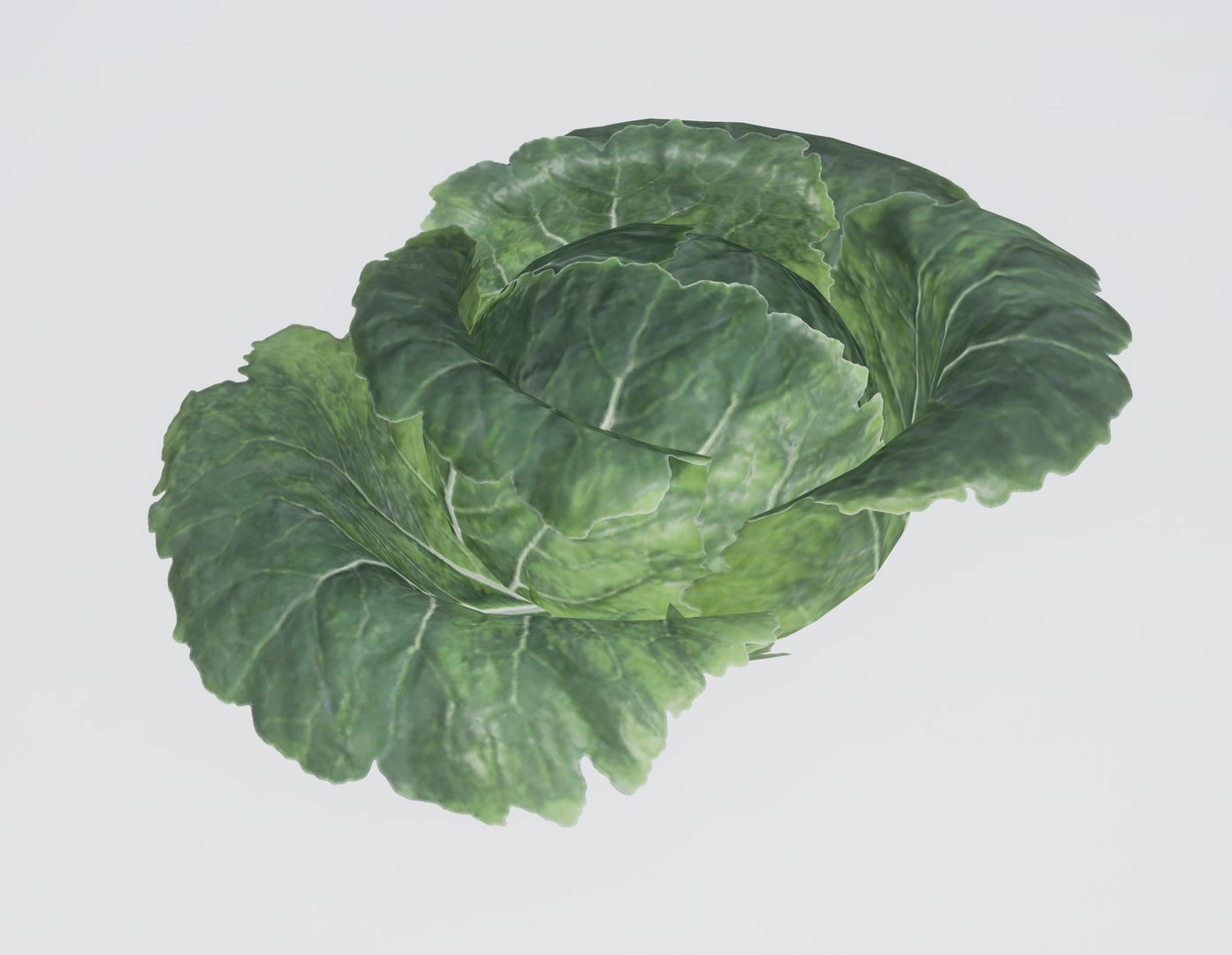 3d Cabbage