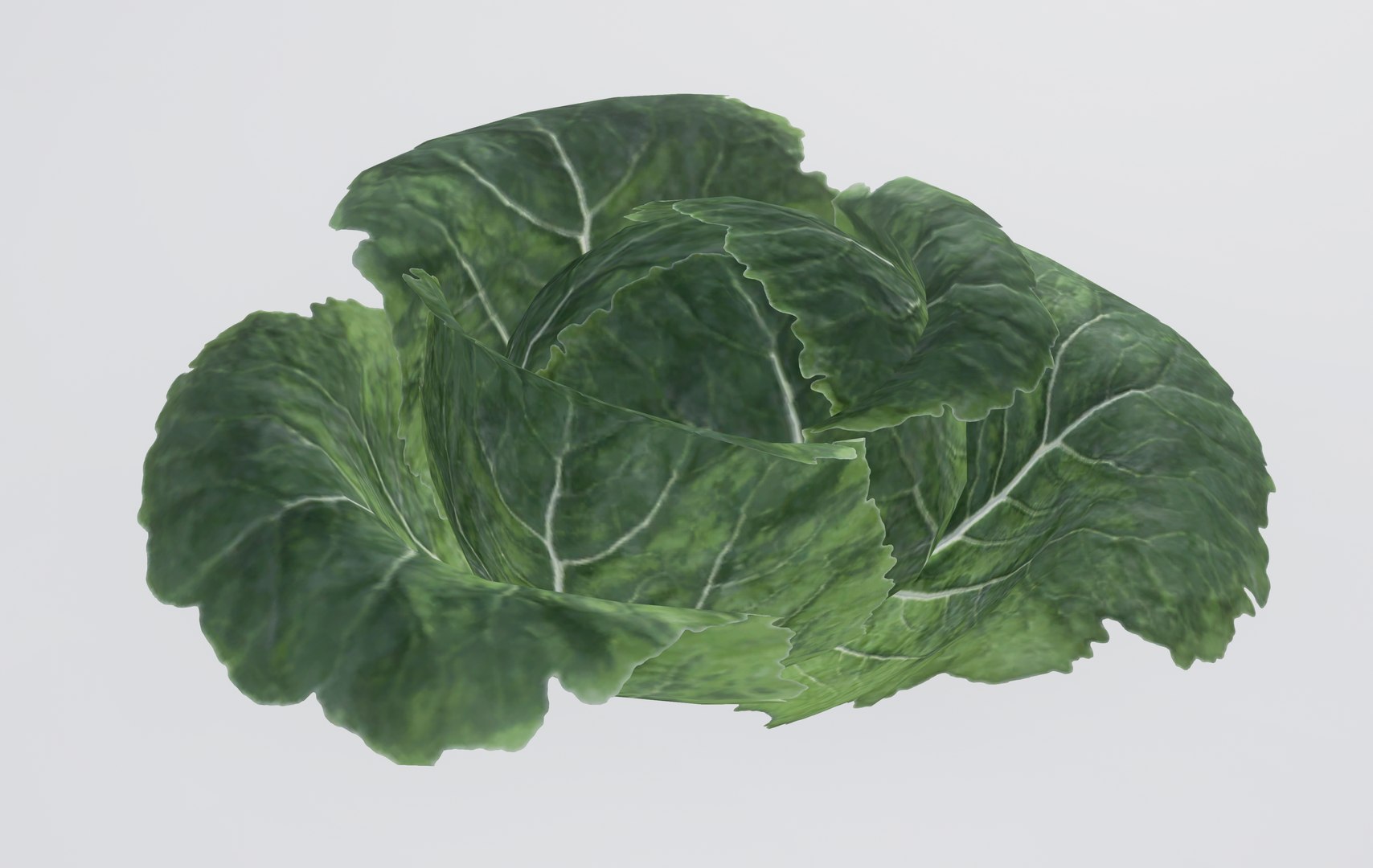 3d Cabbage