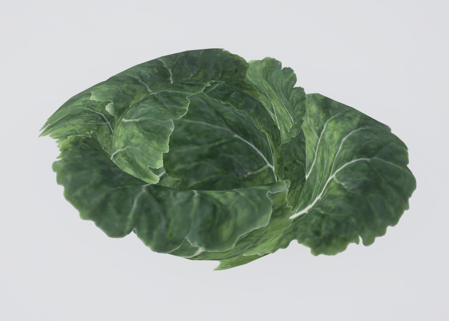 3d Cabbage