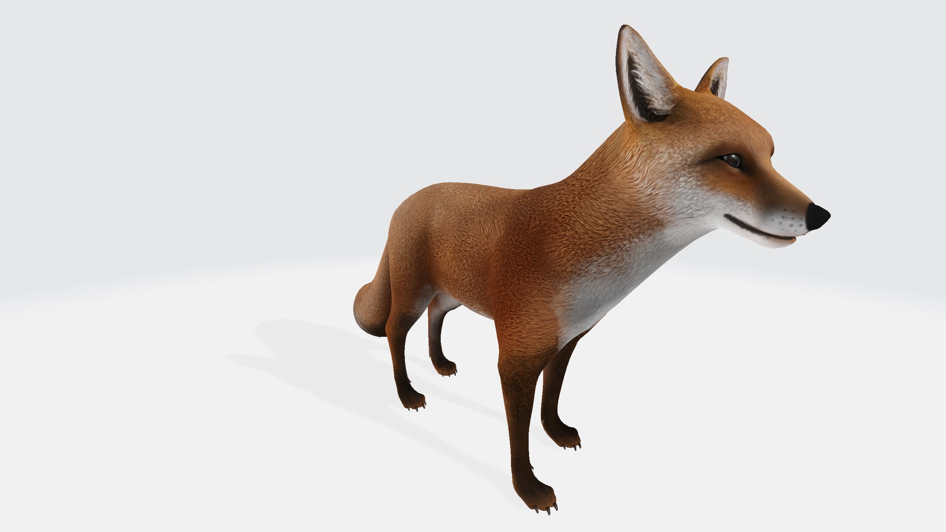 Fox 3D - TurboSquid 2401913