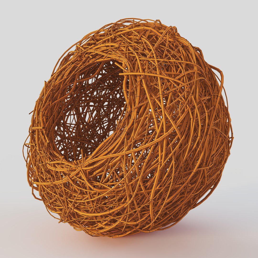 Nest N2 3D Model - TurboSquid 2159900