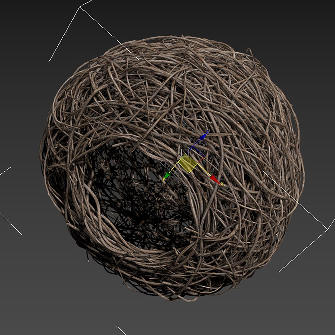 Nest N2 3D Model - TurboSquid 2159900