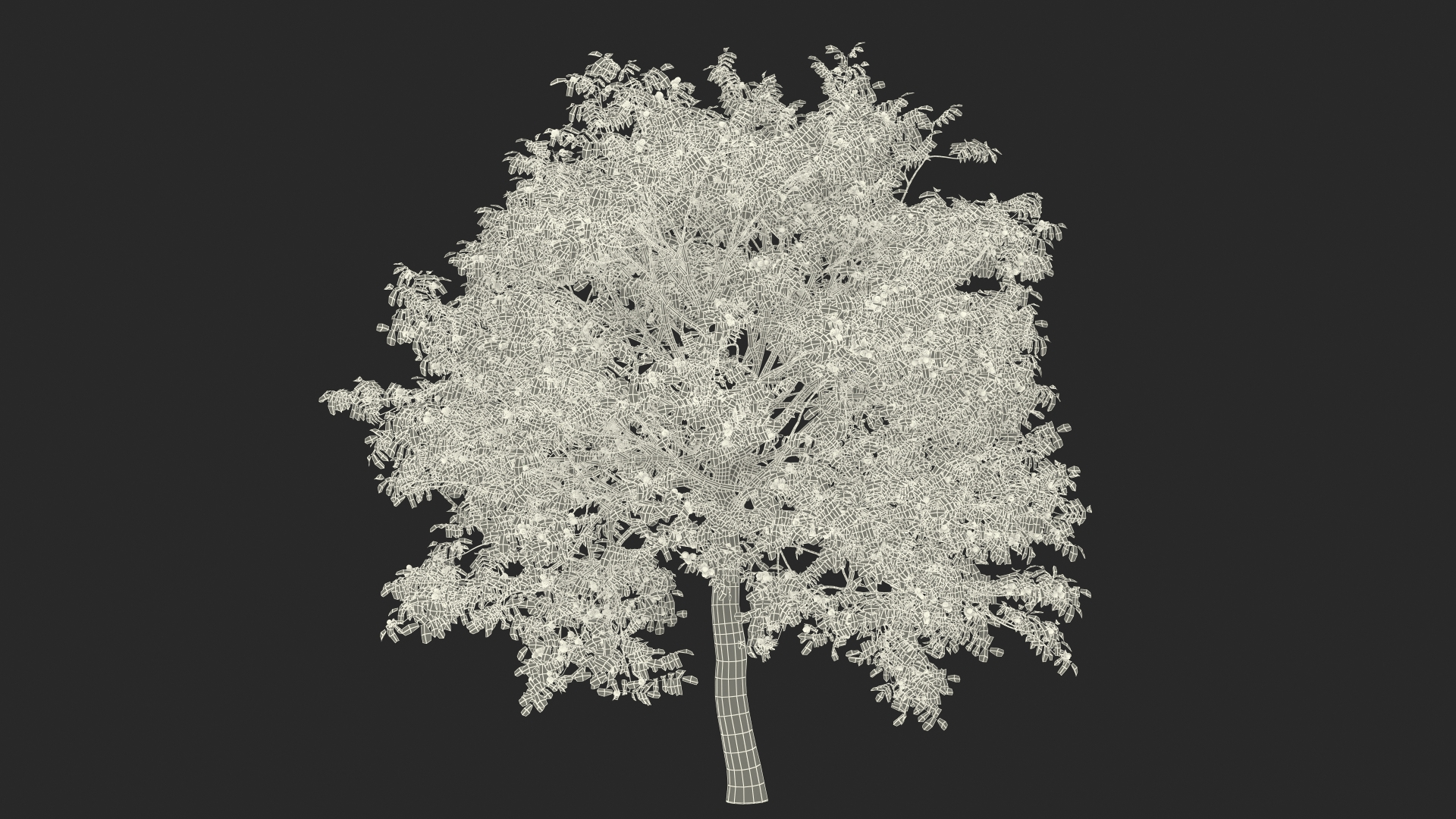 Walnut Tree Ripe Nuts 3D Model - TurboSquid 1699068