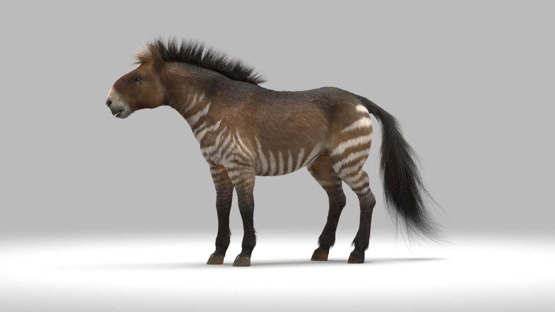 Hippidion Extinct Horse 3D - TurboSquid 1292536