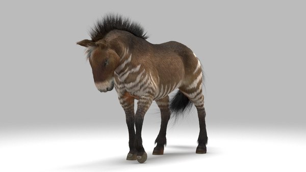 Hippidion extinct horse 3D - TurboSquid 1292536