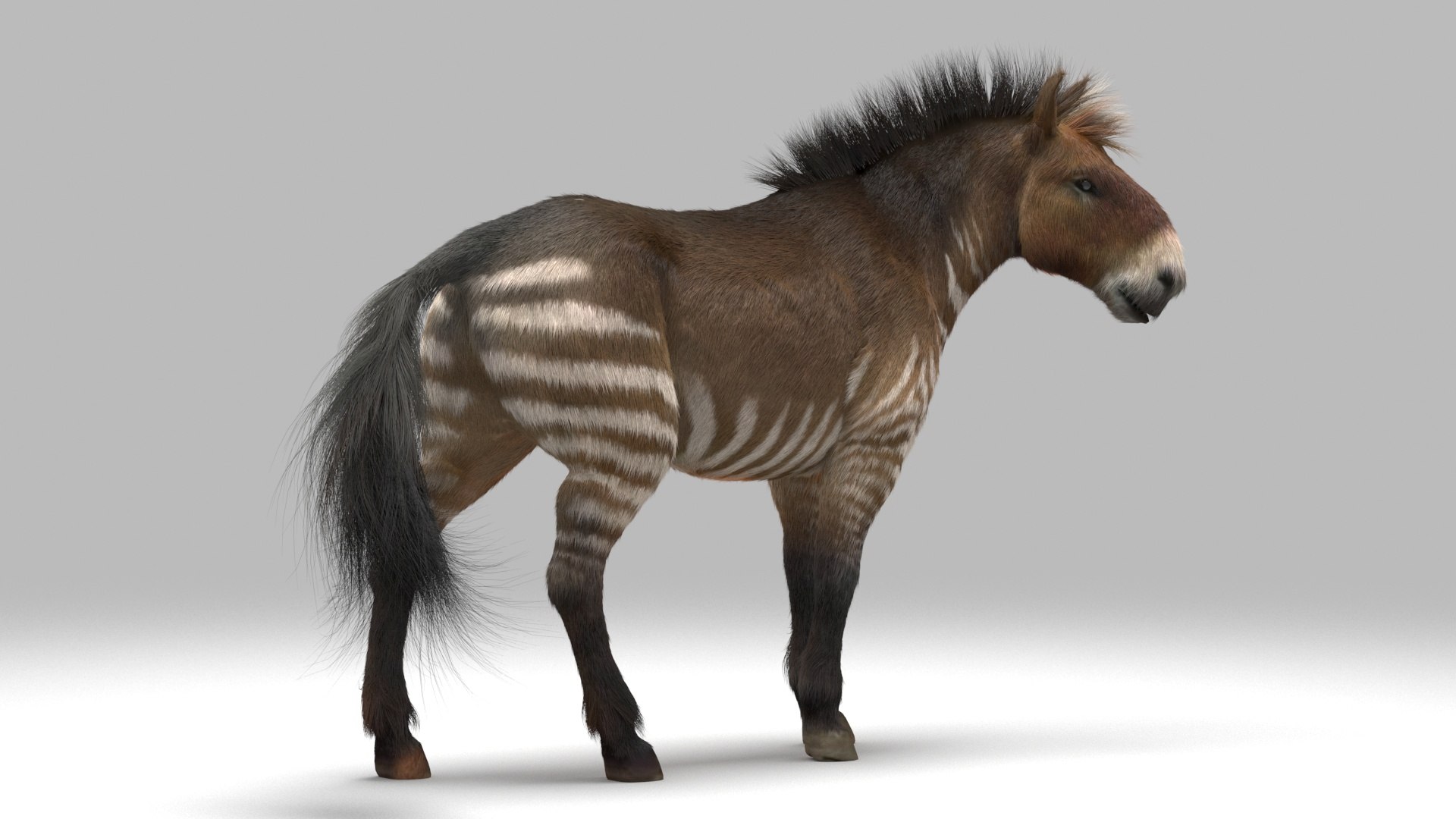 Hippidion Extinct Horse 3D - TurboSquid 1292536