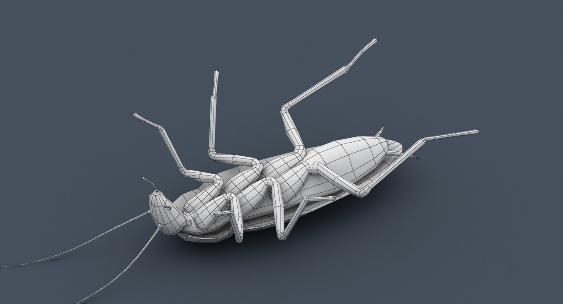 3d Model Rigged Cockroach
