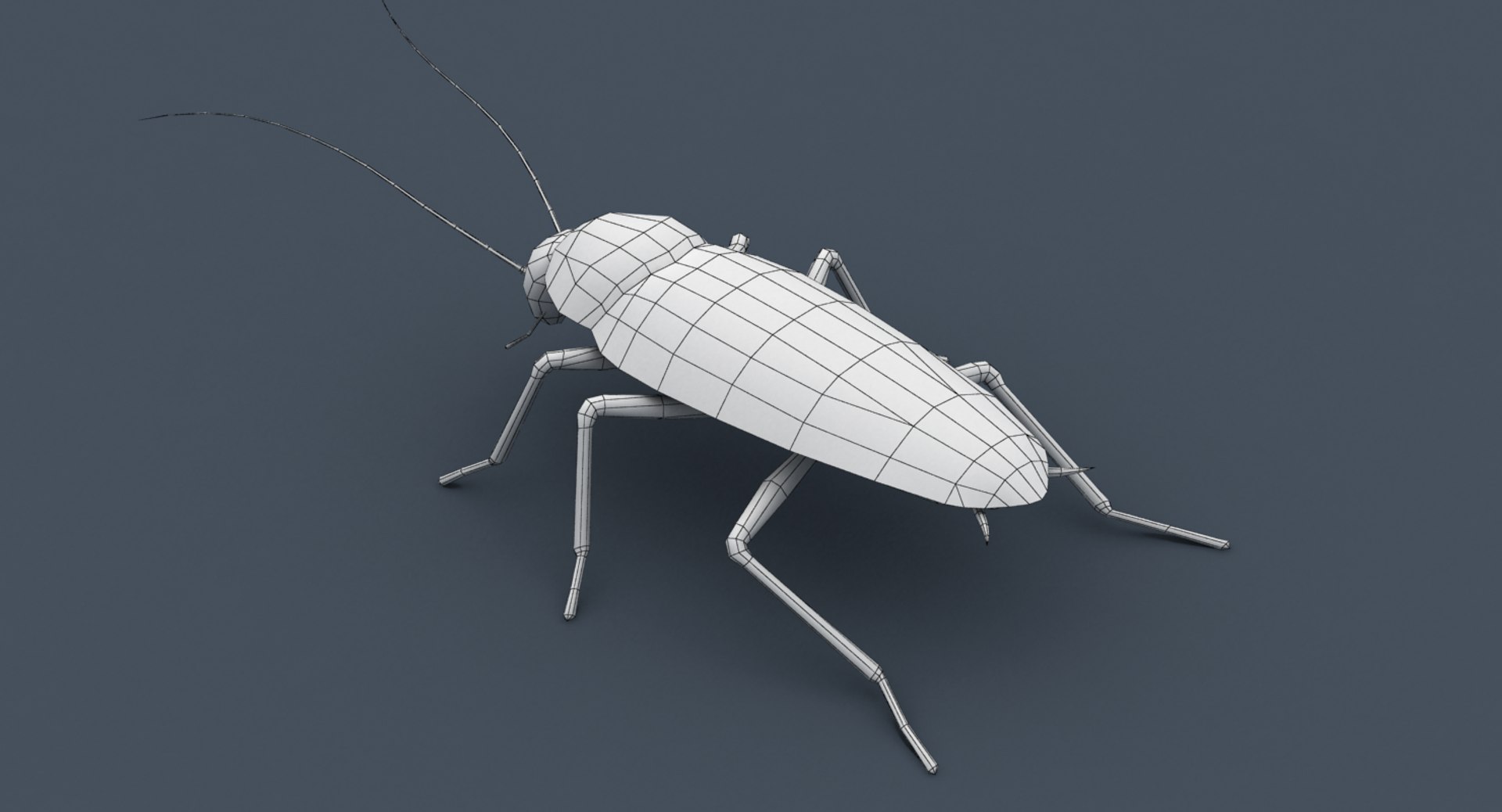 3d Model Rigged Cockroach