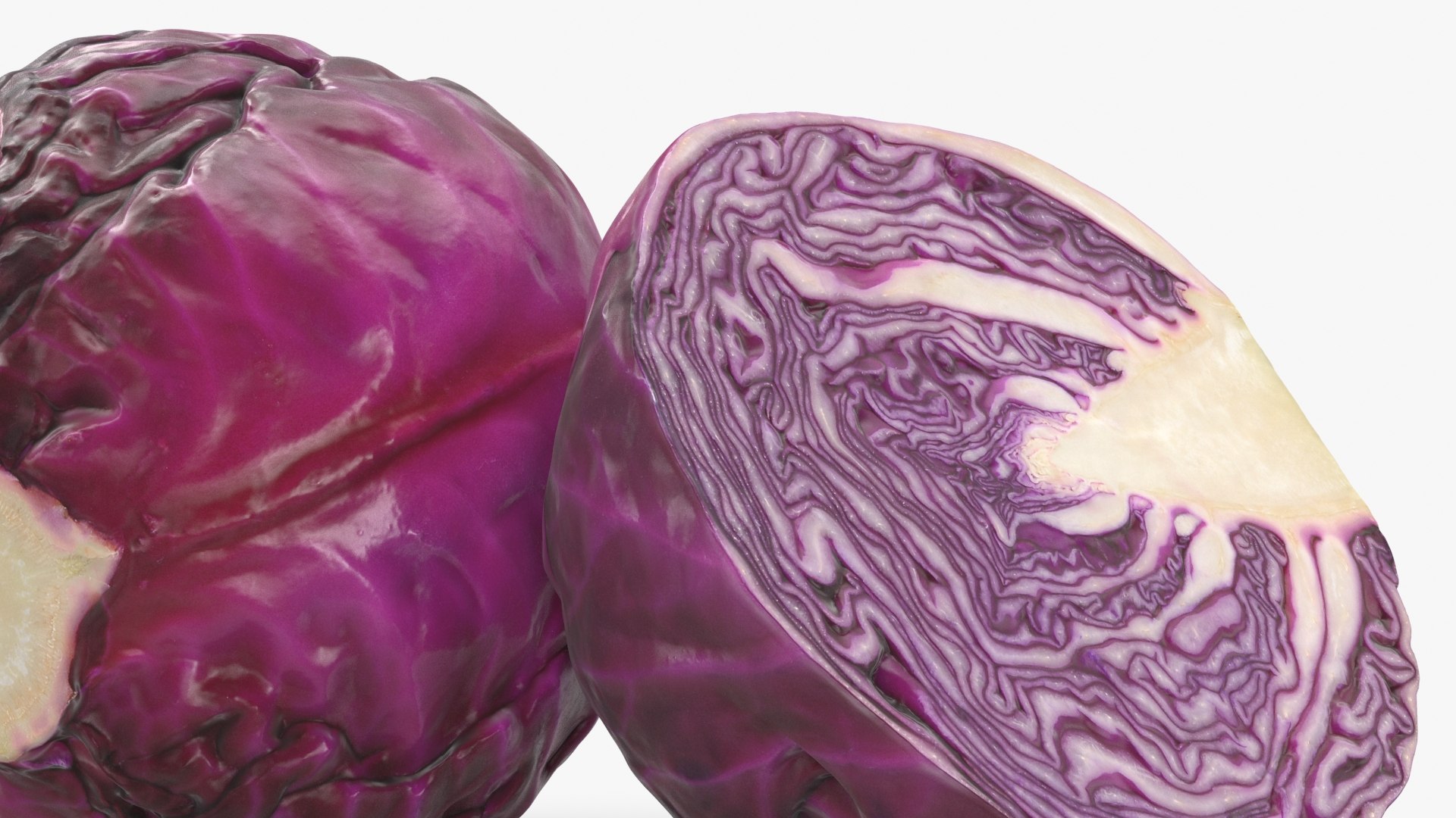 Red Cabbage 4 3D Model - TurboSquid 2130808