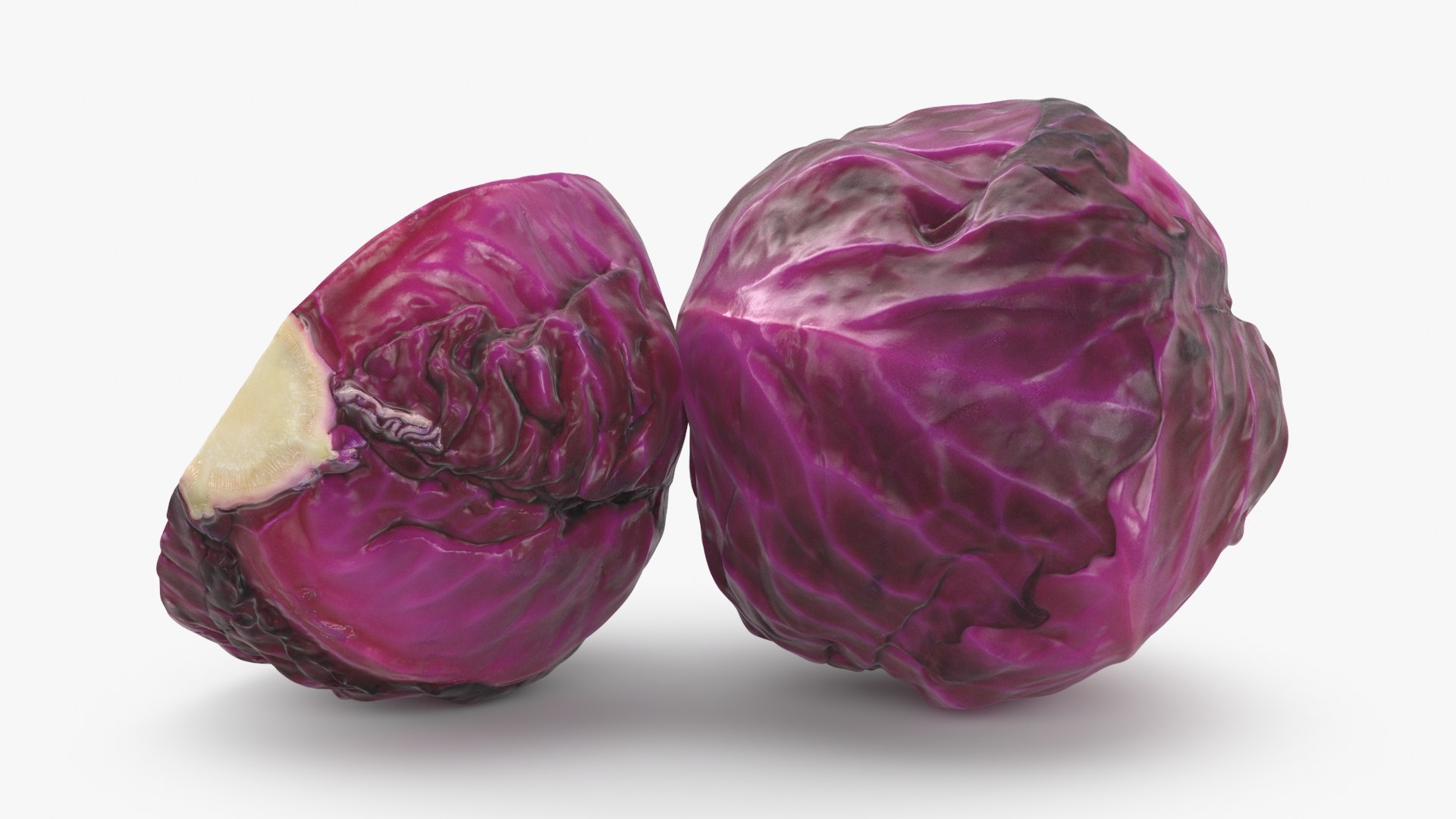 Red Cabbage 4 3D Model - TurboSquid 2130808