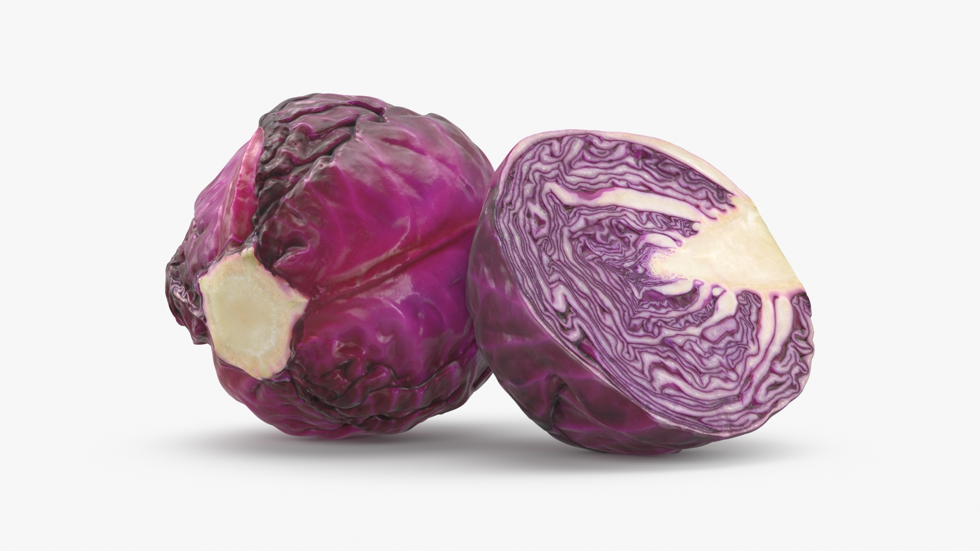 Red Cabbage 4 3D Model - TurboSquid 2130808