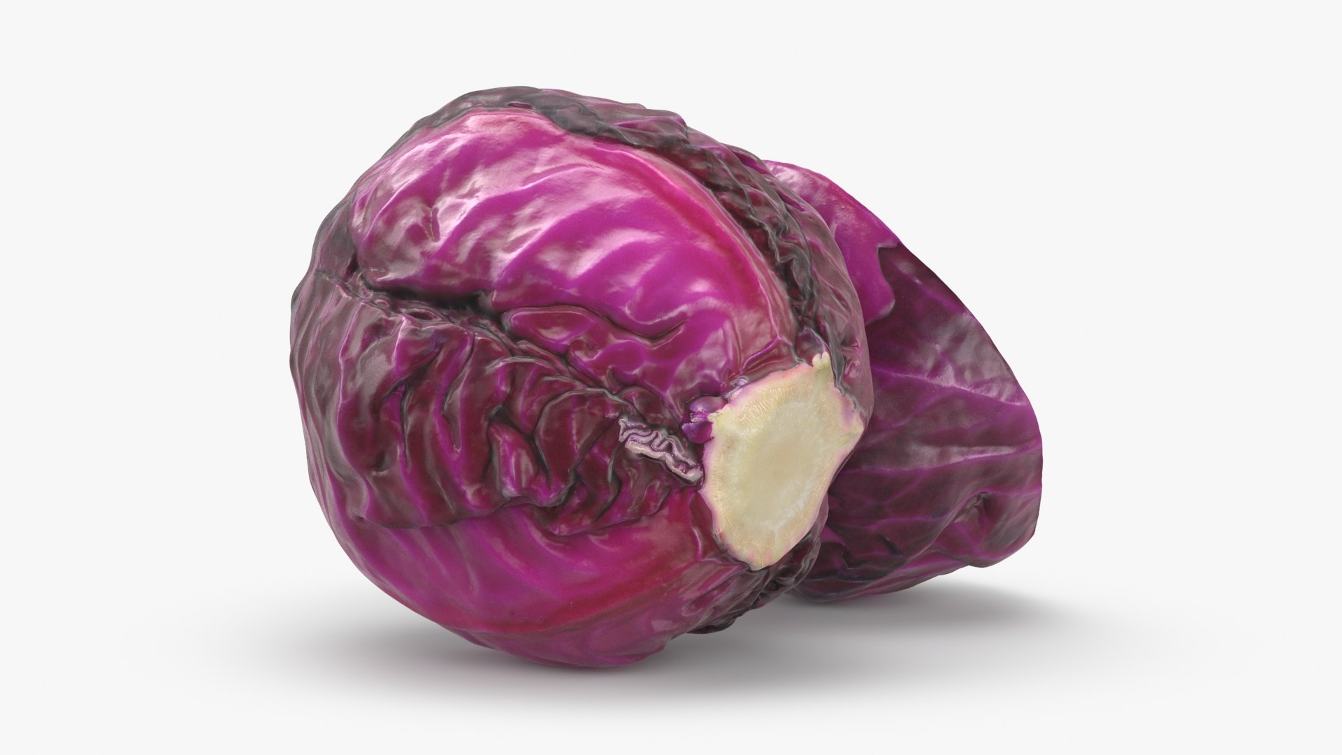 Red Cabbage 4 3D Model - TurboSquid 2130808