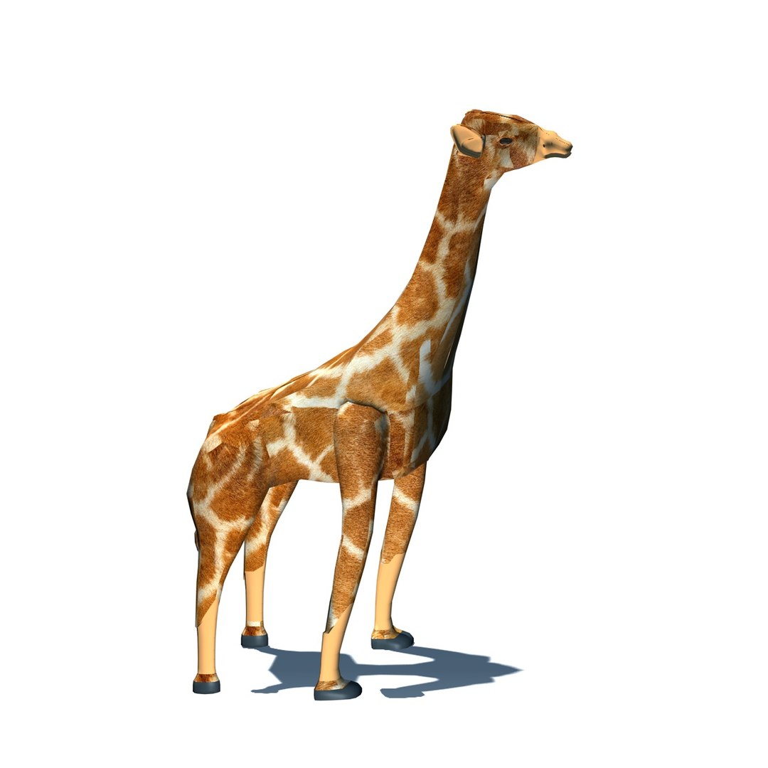 Giraffe 3d Model