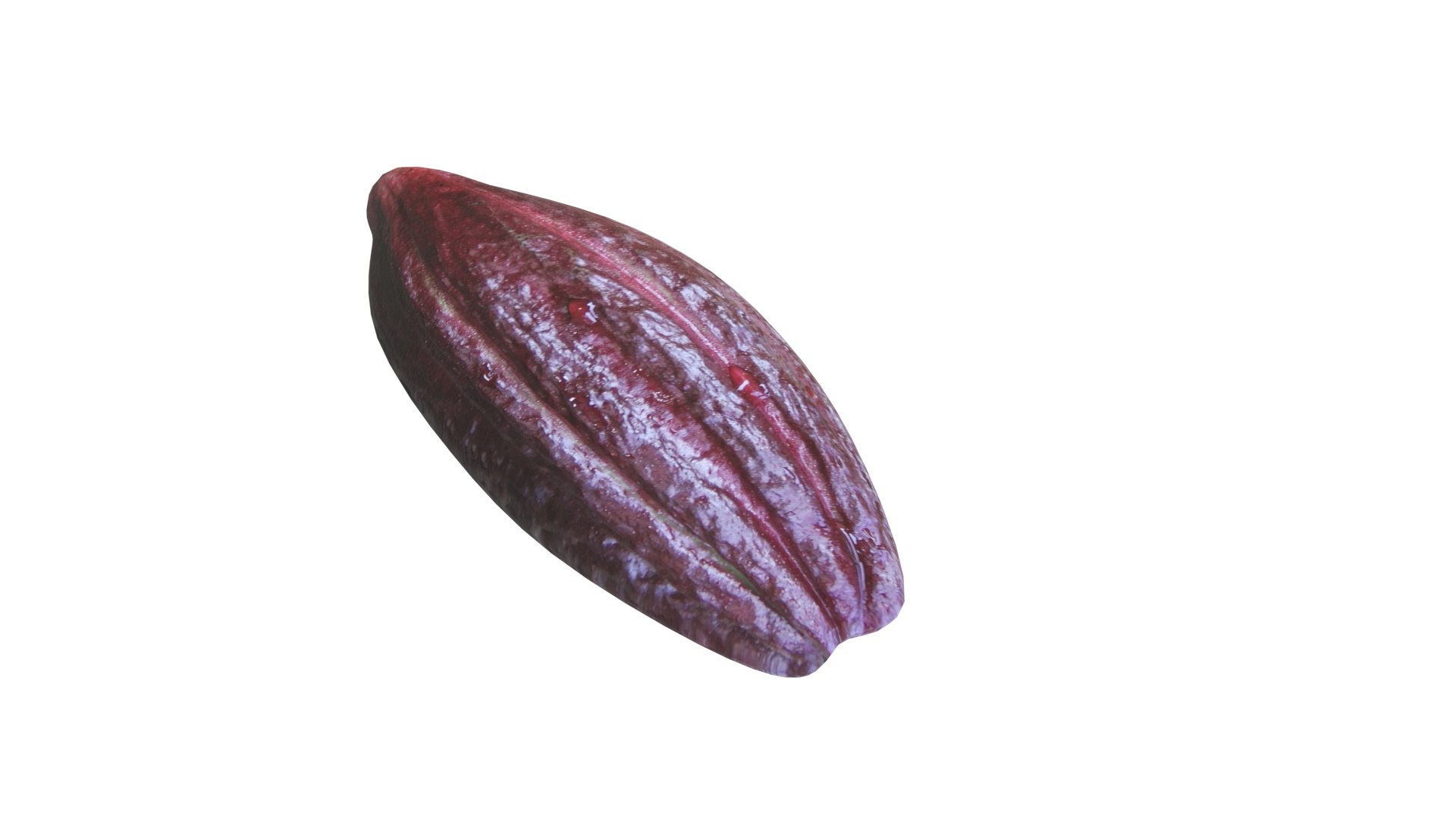 Brown Cocoa Fruit 3D Model - TurboSquid 1850499