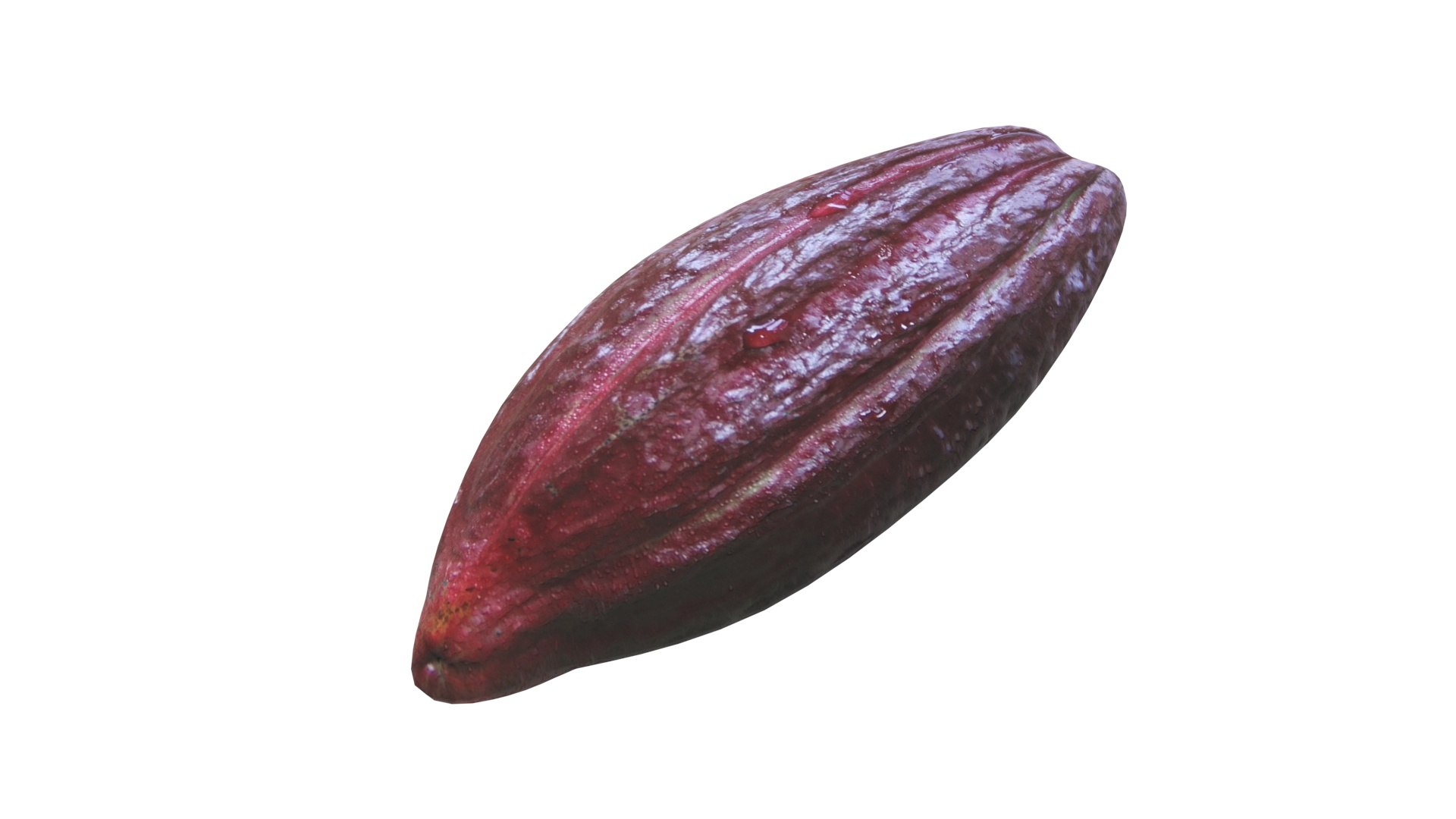 Brown Cocoa Fruit 3D Model - TurboSquid 1850499