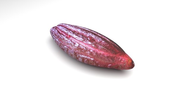Cocoa Bean 3D Models for Download | TurboSquid