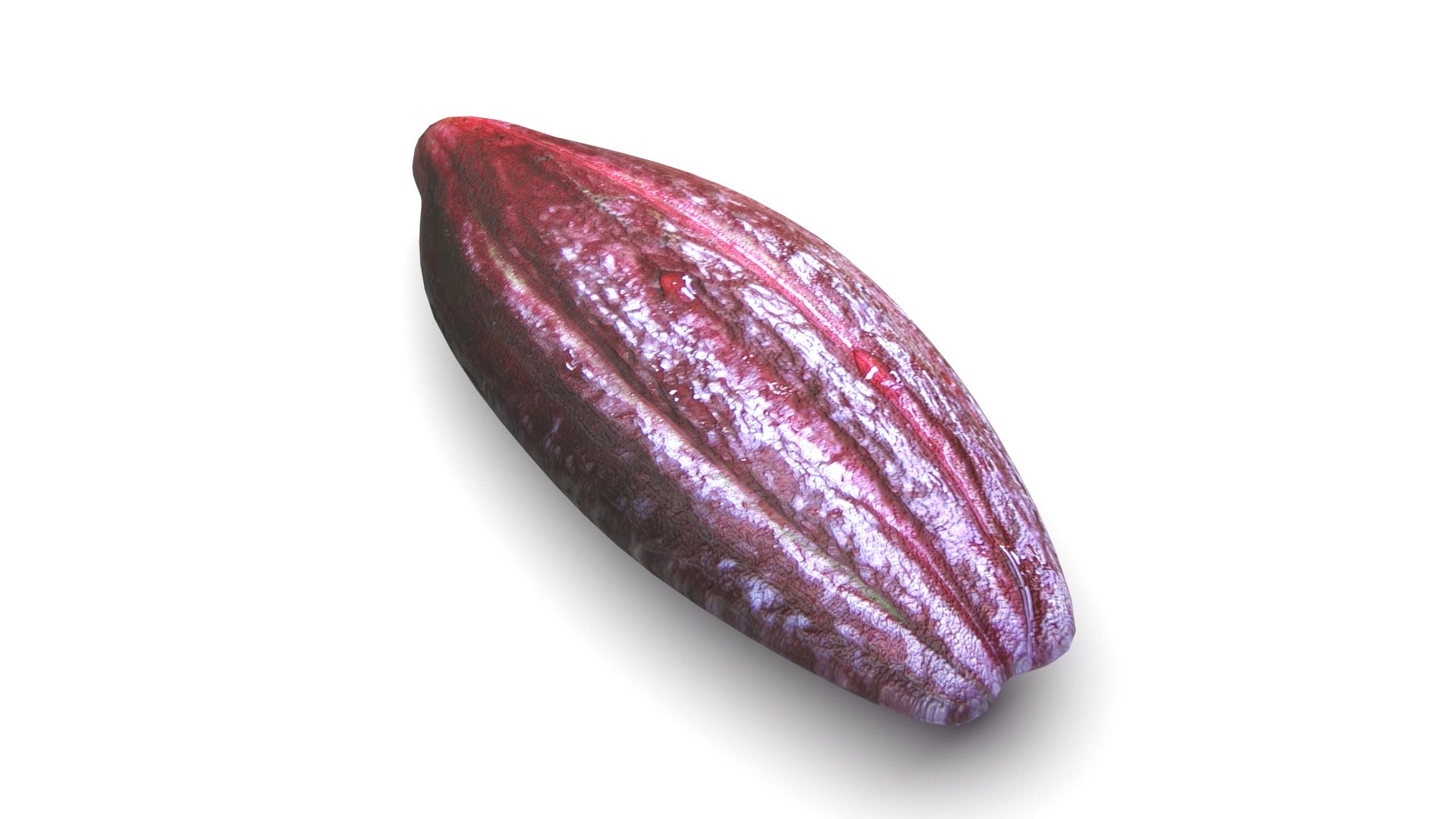 Brown Cocoa Fruit 3D Model - TurboSquid 1850499