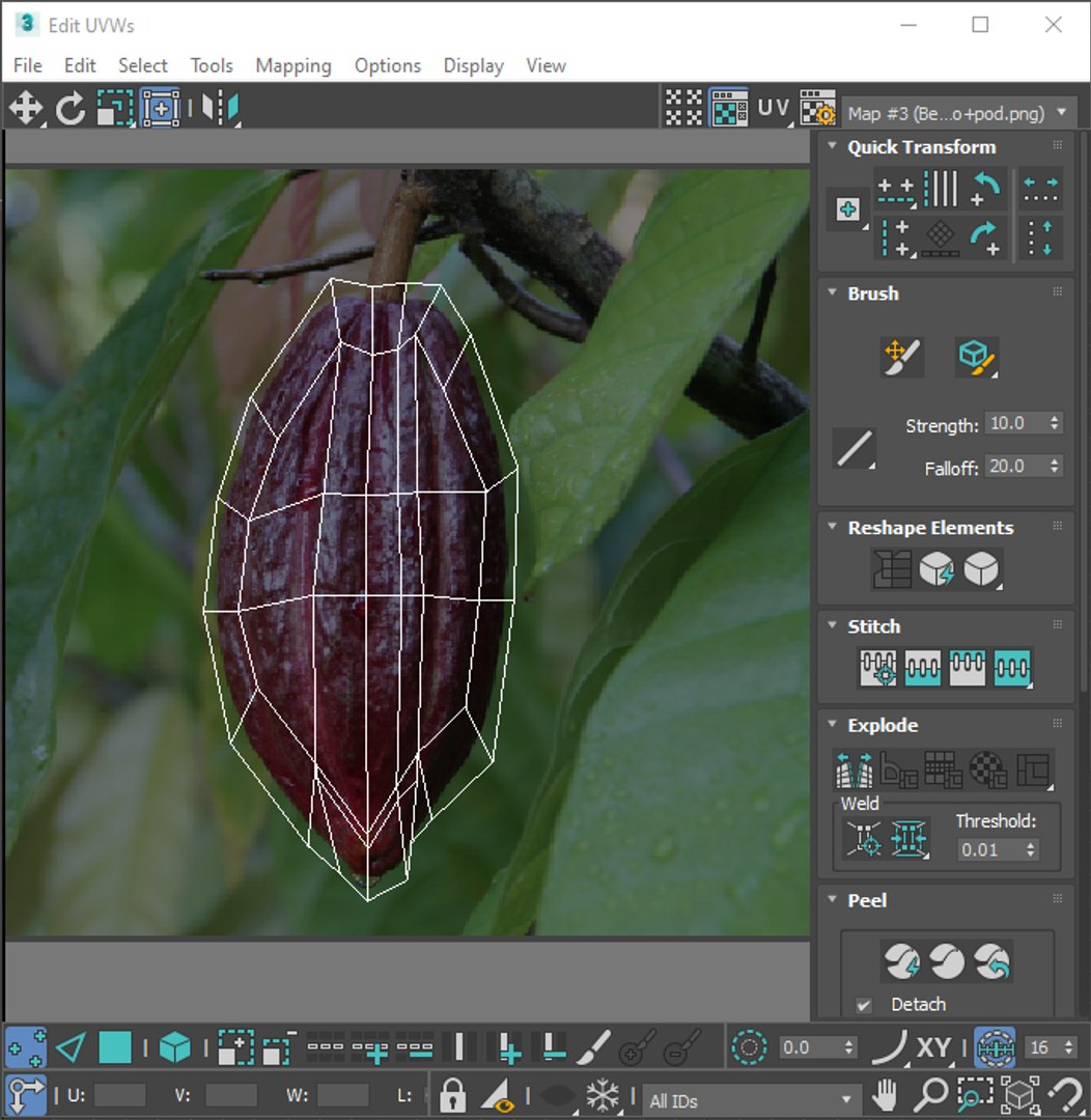 Brown Cocoa Fruit 3D Model - TurboSquid 1850499