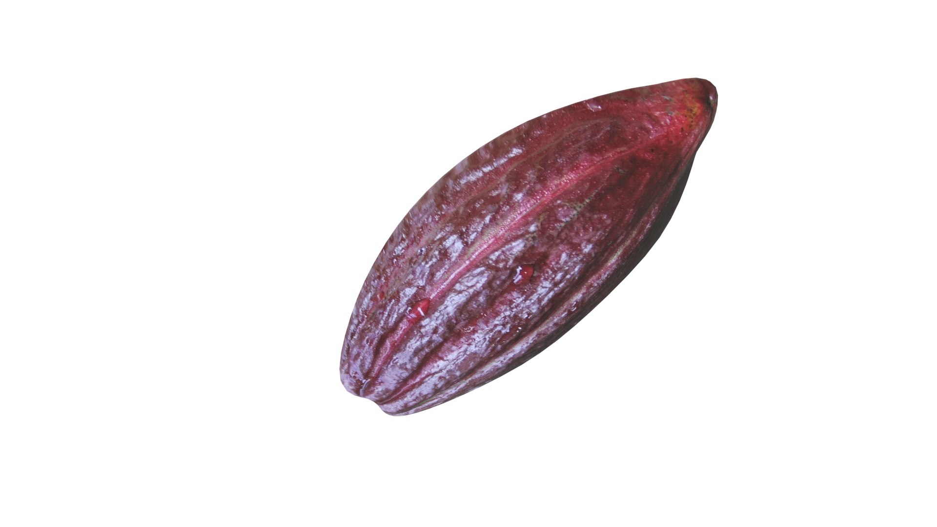 Brown Cocoa Fruit 3D Model - TurboSquid 1850499