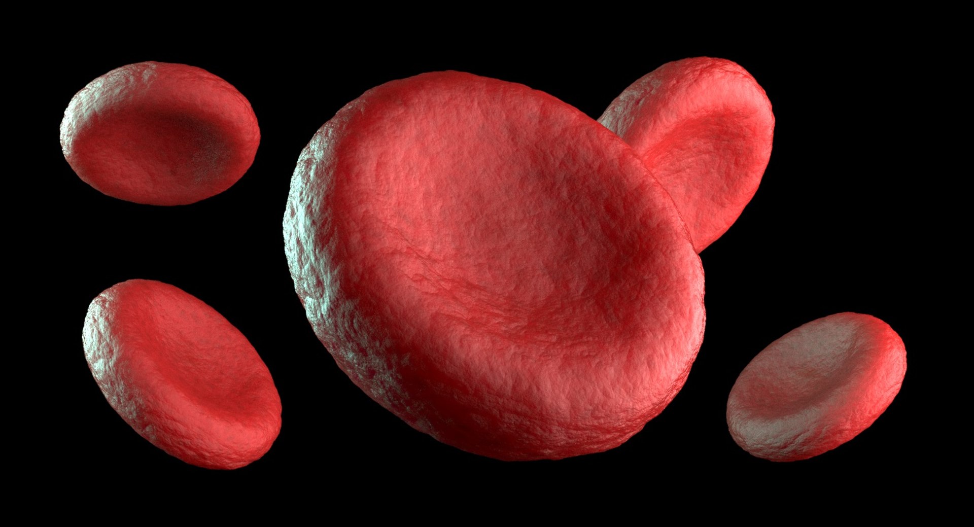 3D Red Blood Cell - TurboSquid 1320641