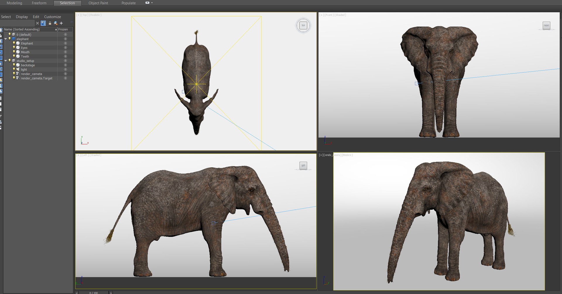 Elephant 3D model - TurboSquid 1571059