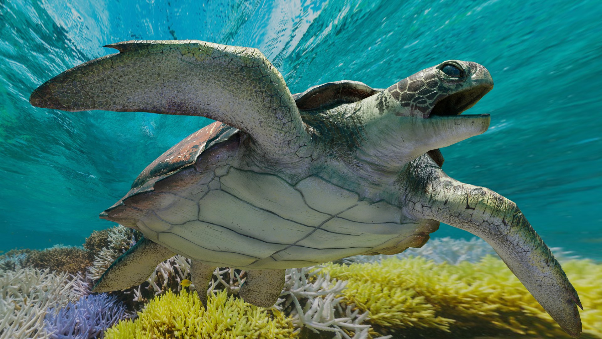 Sea Turtle Animated Modelo 3D - TurboSquid 1944537