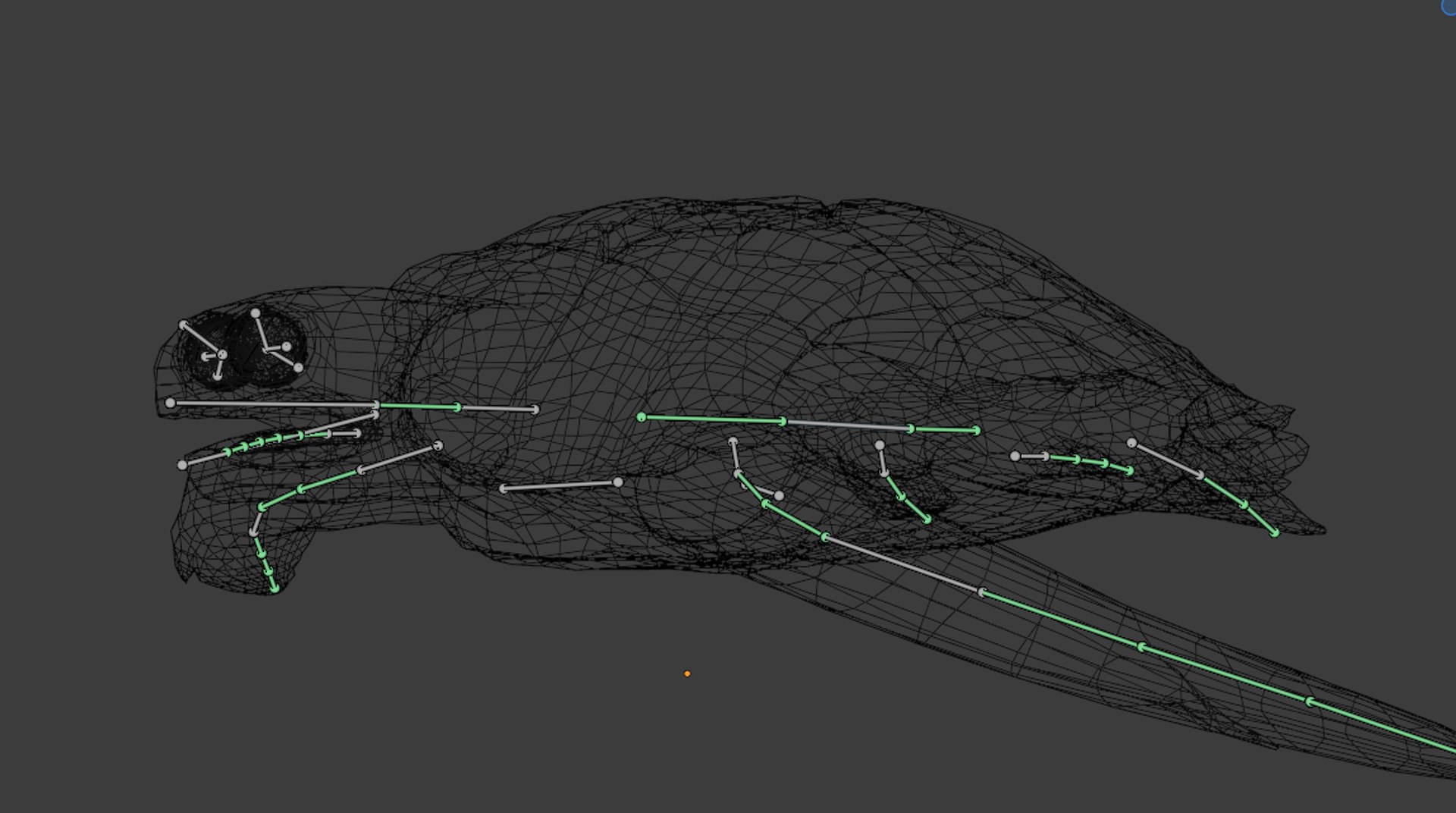 3D Sea Turtle Animated Model - TurboSquid 1944537