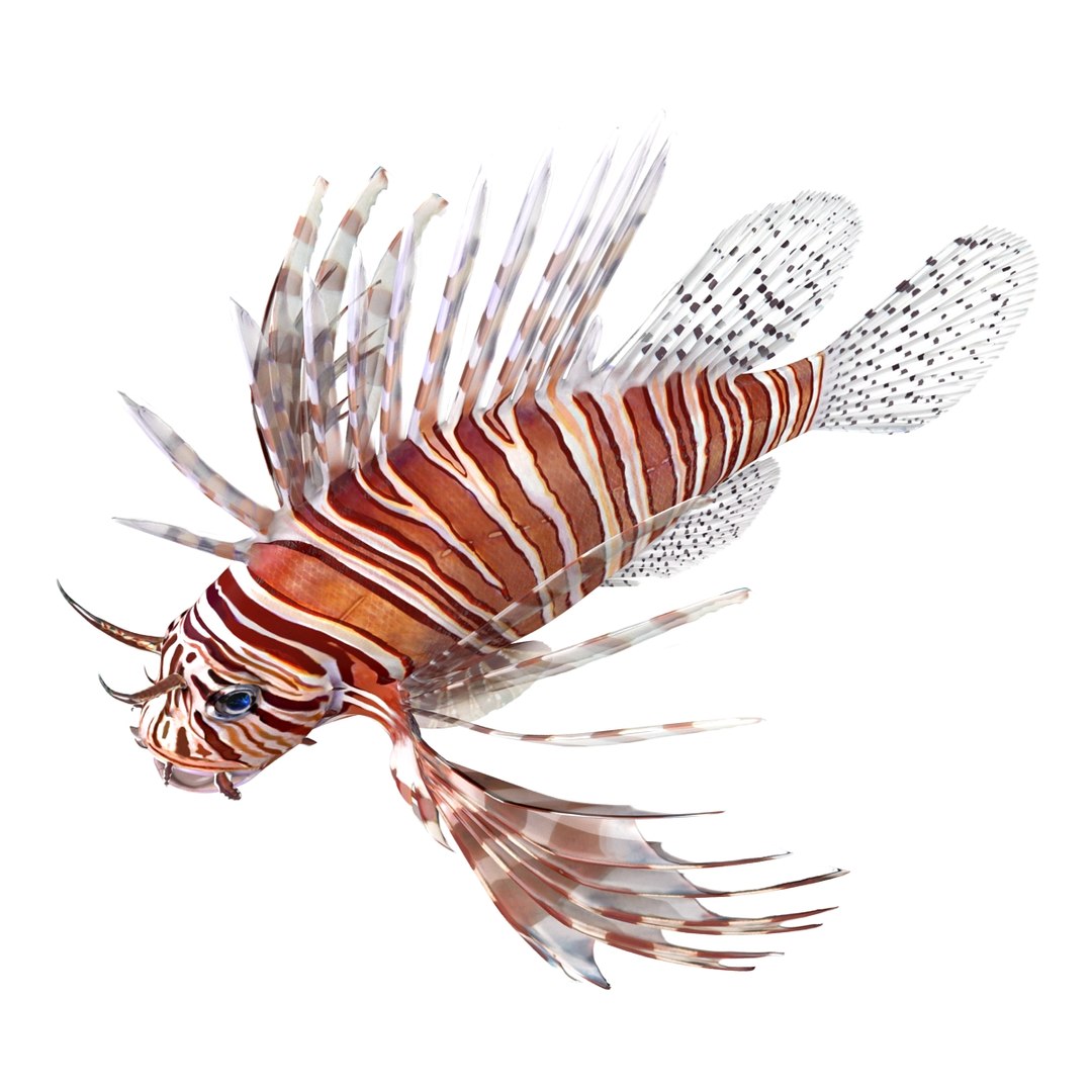 lion fish 3d max