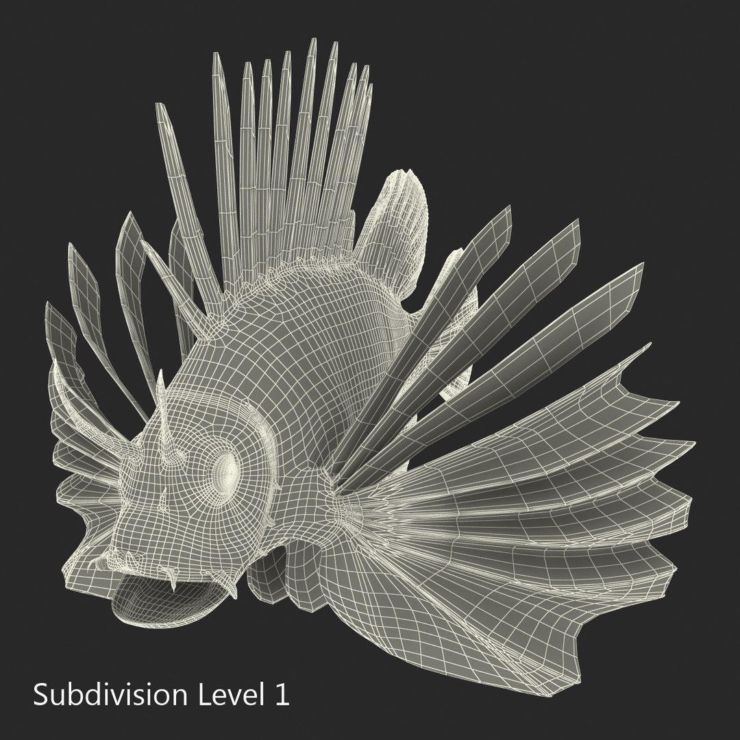 lion fish 3d max