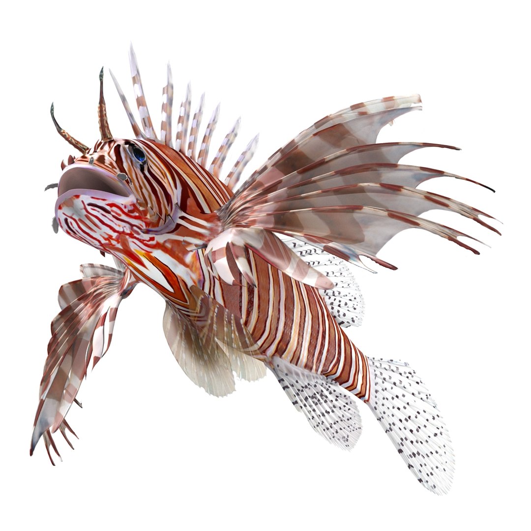 lion fish 3d max