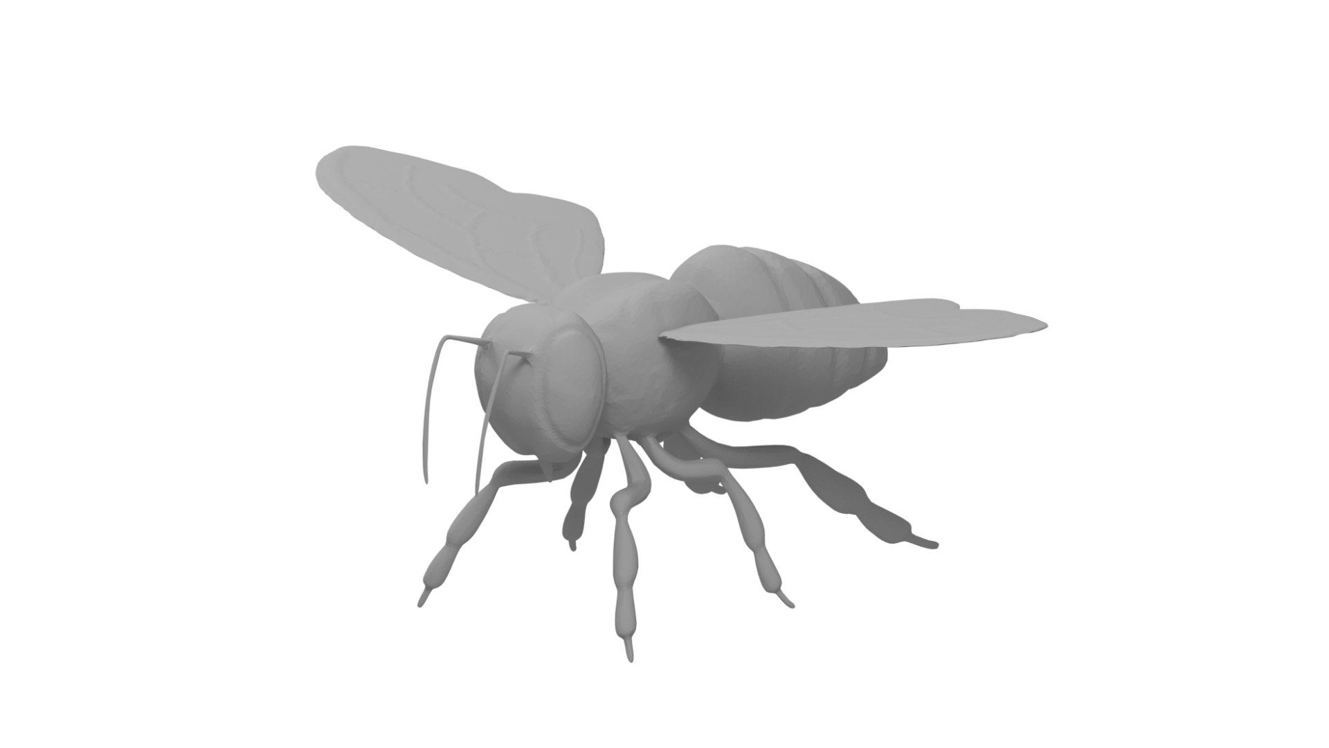 3D Bee Model - TurboSquid 2122802