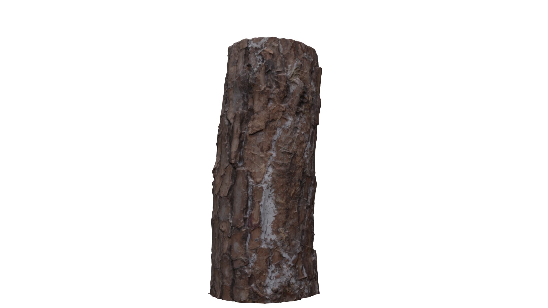 3D Rotten logs at Wonwonsa Temple Site - TurboSquid 1958856