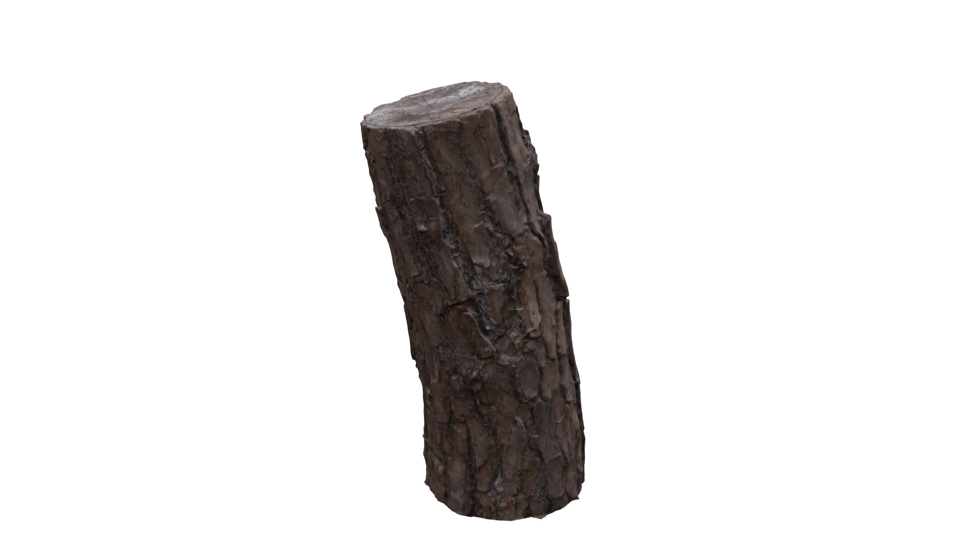 3D Rotten logs at Wonwonsa Temple Site - TurboSquid 1958856