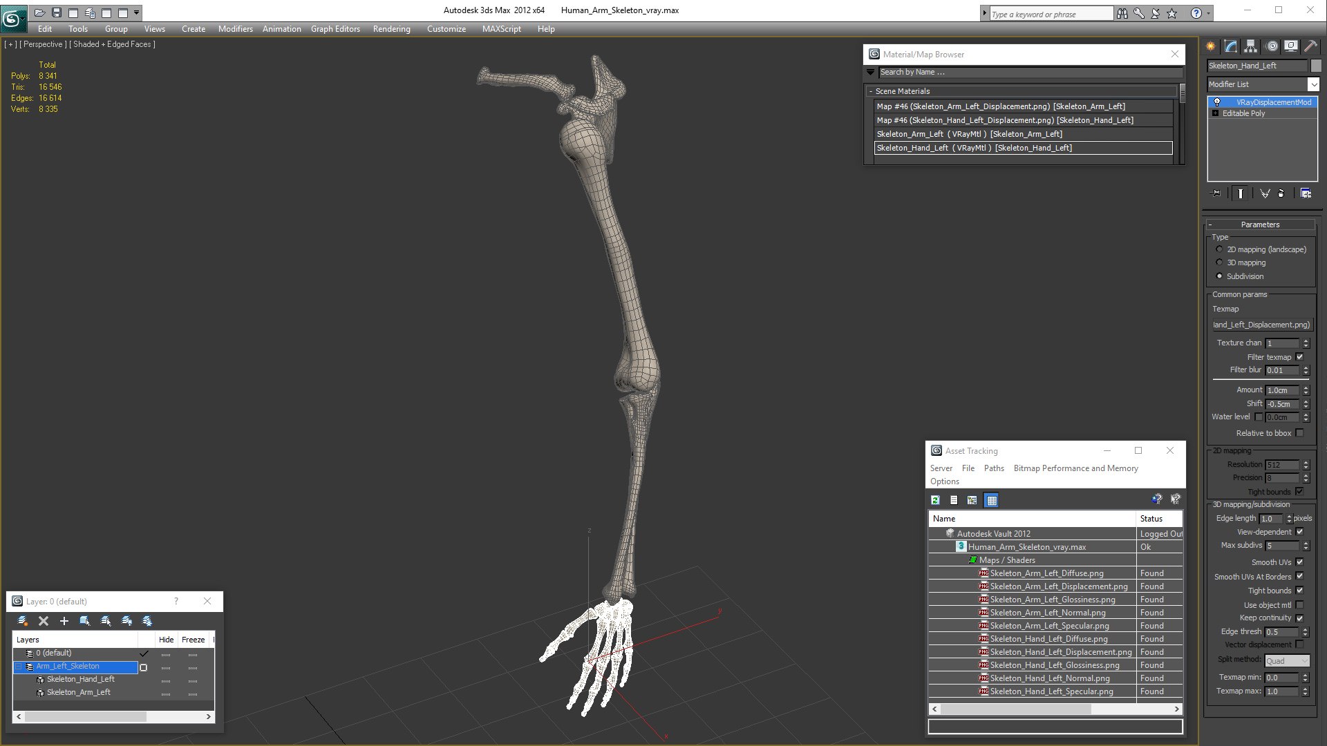 Human Arm Skeleton 3D - TurboSquid 1461209