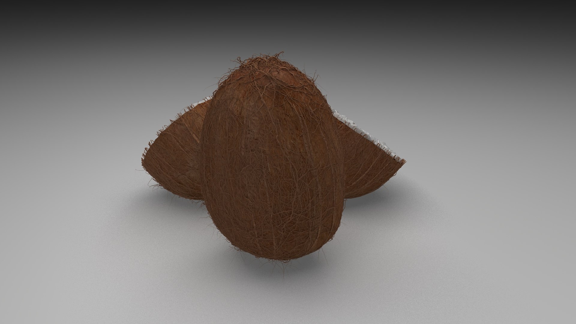 3D Kokos - TurboSquid 1319004