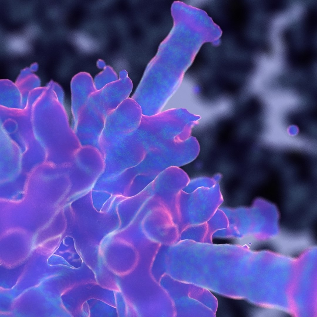 3ds Max Virus