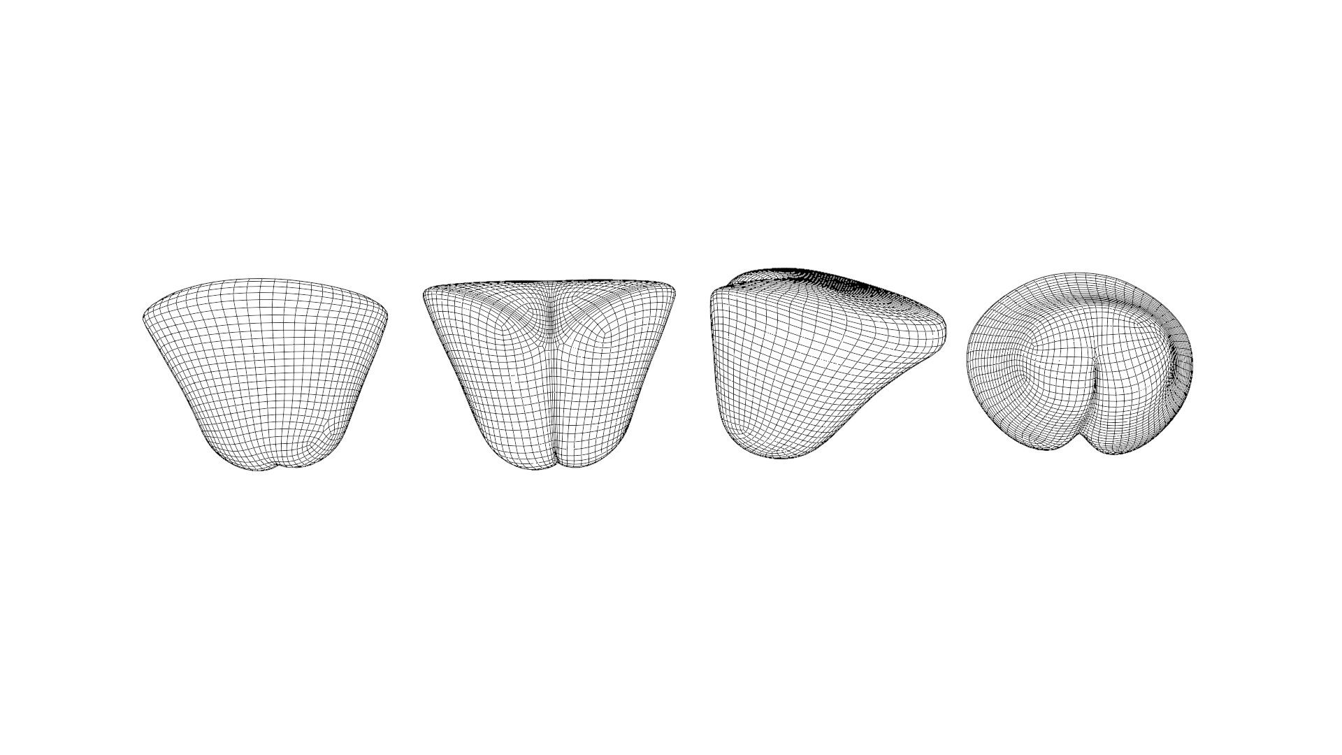 3D model Male Reproductive System Anatomy - TurboSquid 2092018