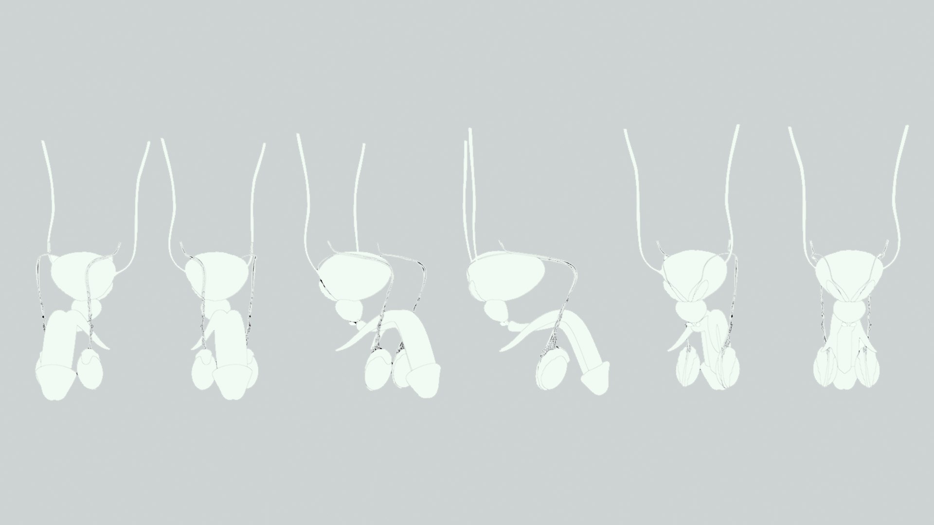 3D model Male Reproductive System Anatomy - TurboSquid 2092018