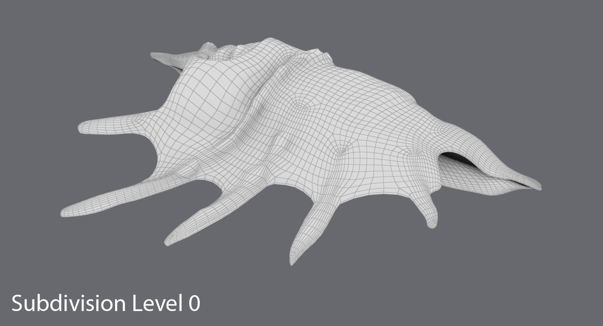Conch-shells---shell-01 3D Model - TurboSquid 1156487