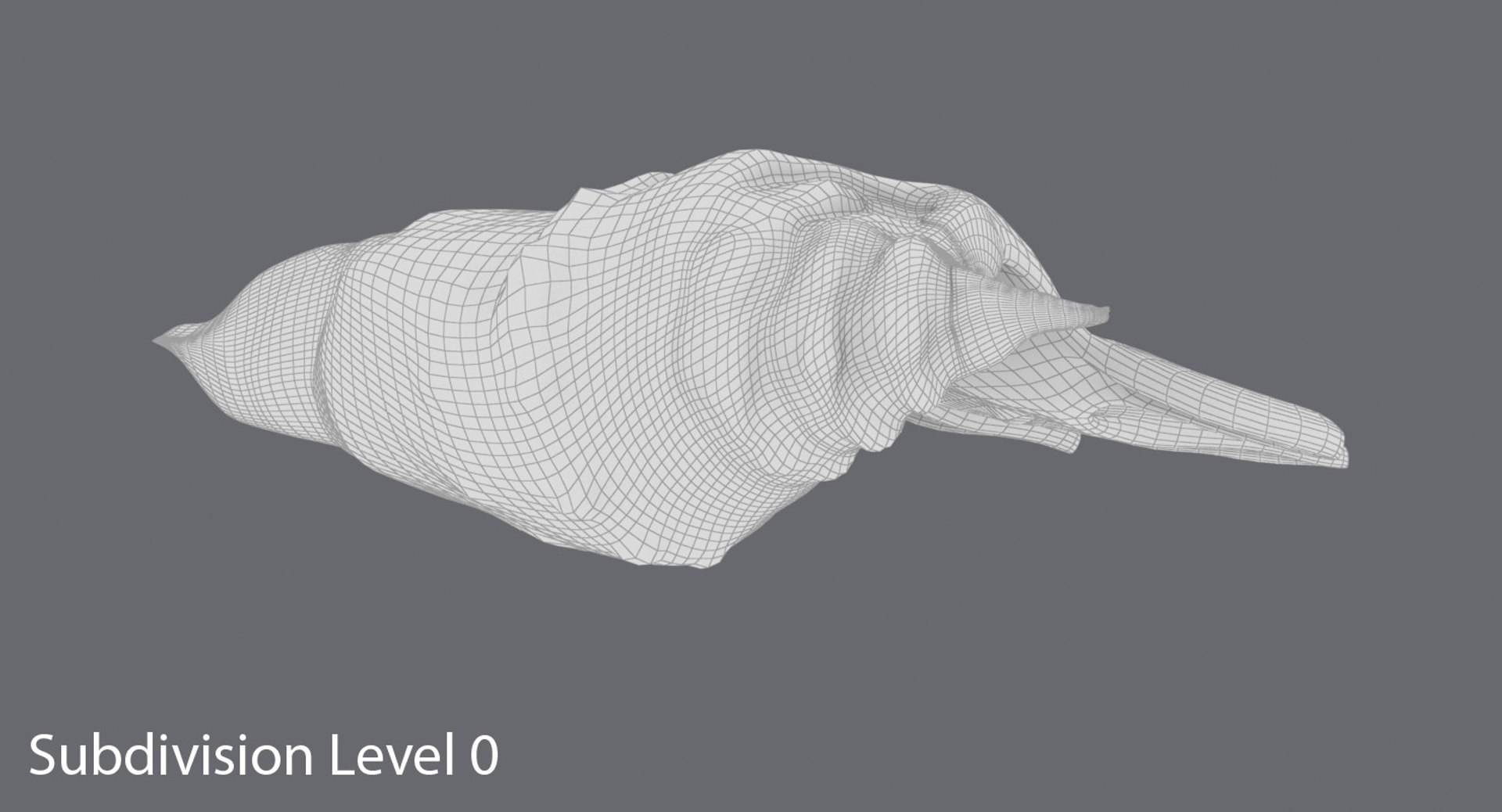 Conch-shells---shell-01 3D Model - TurboSquid 1156487