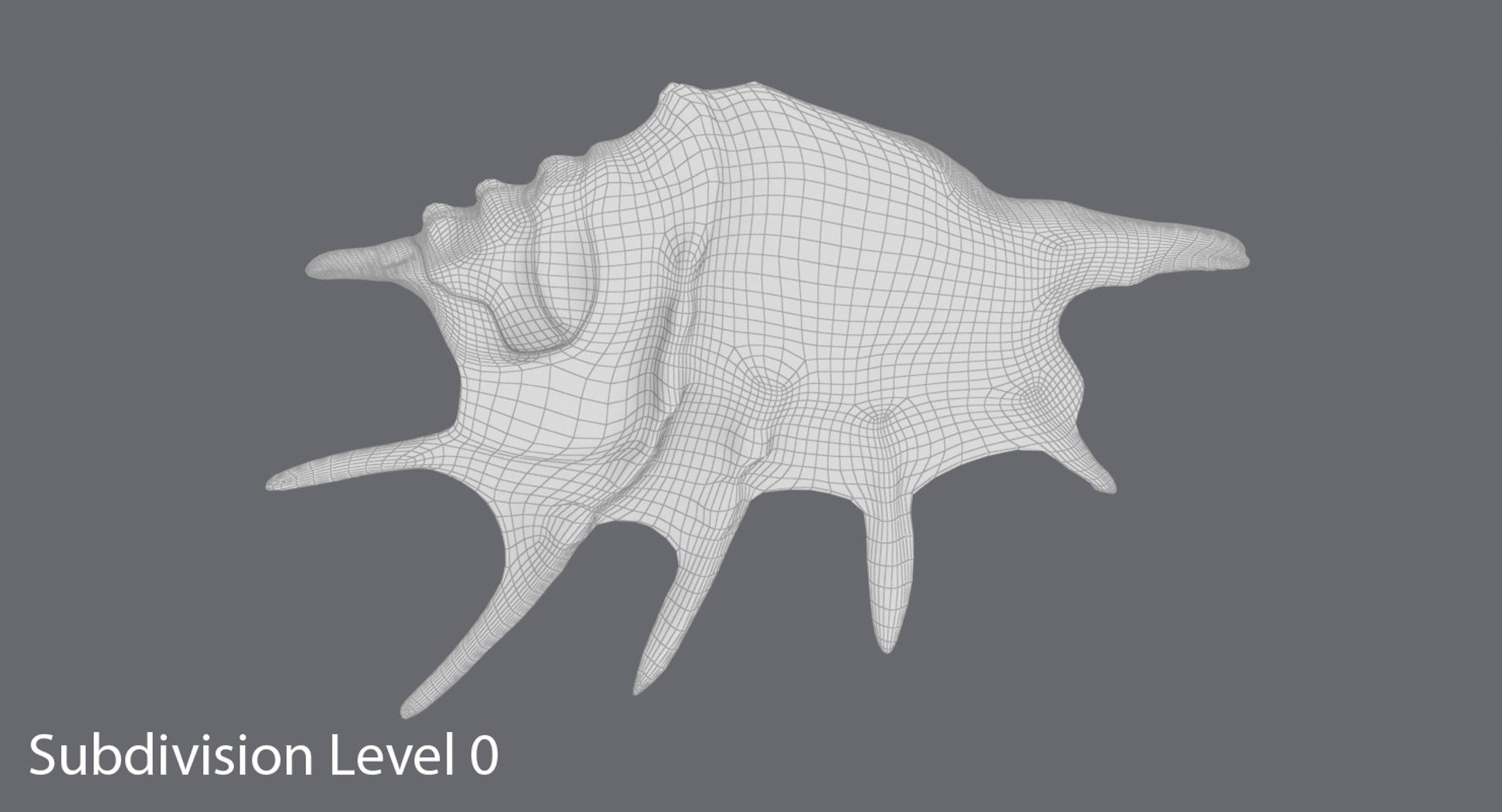Conch-shells---shell-01 3D Model - TurboSquid 1156487