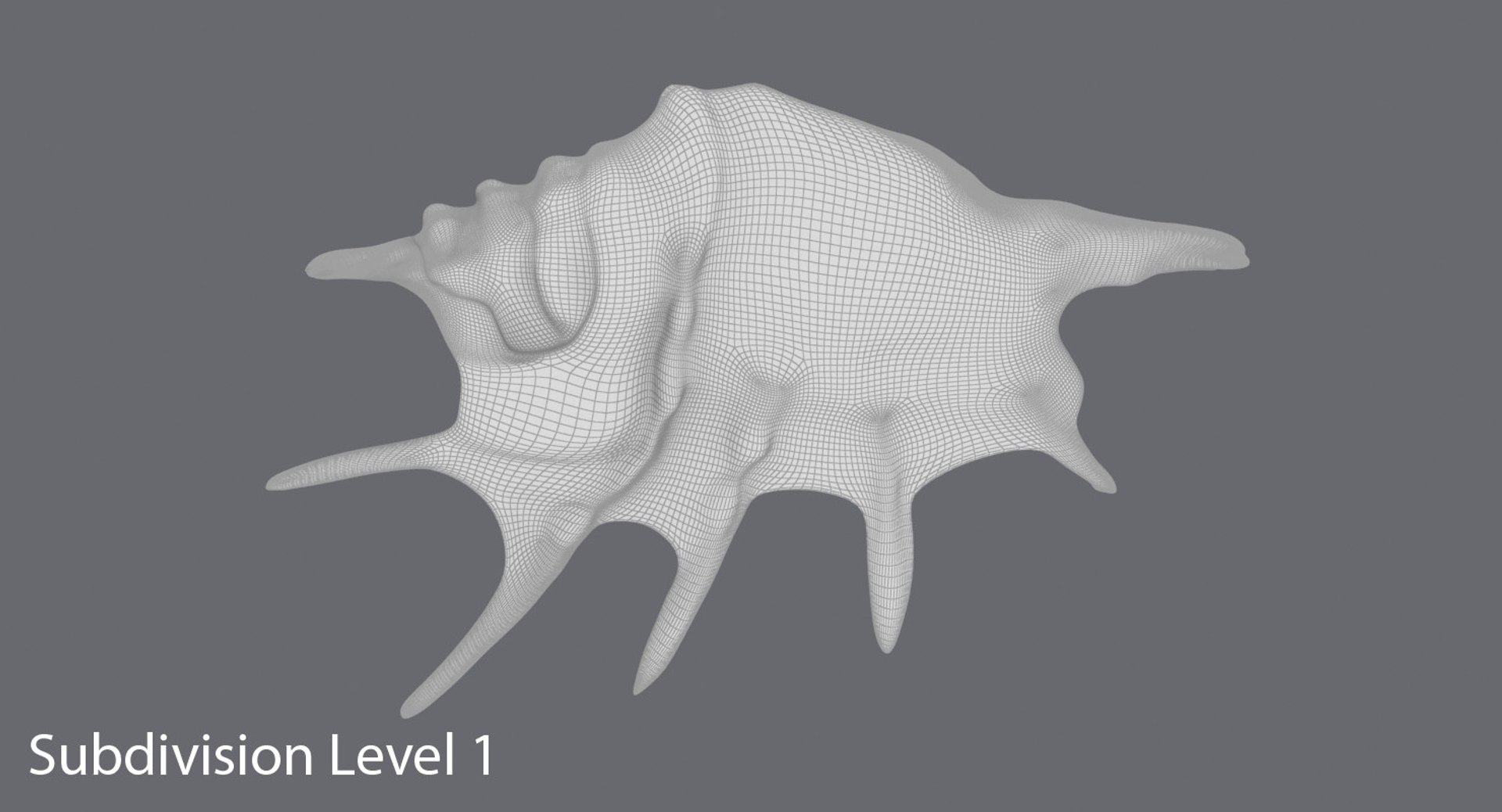 Conch-shells---shell-01 3D Model - TurboSquid 1156487