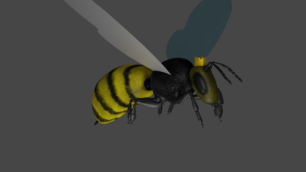 modelo 3d Queen Bee - TurboSquid 2095876