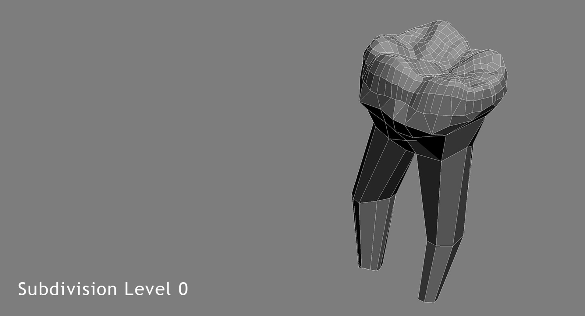 3d model primary molar lower