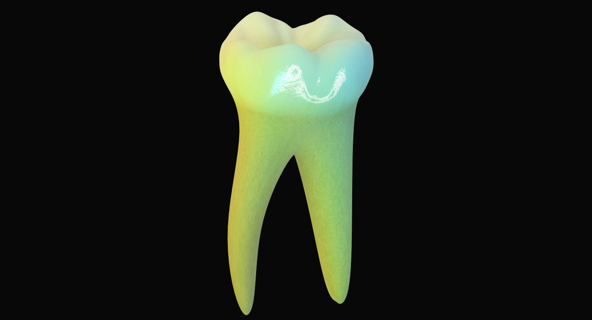 3d model primary molar lower