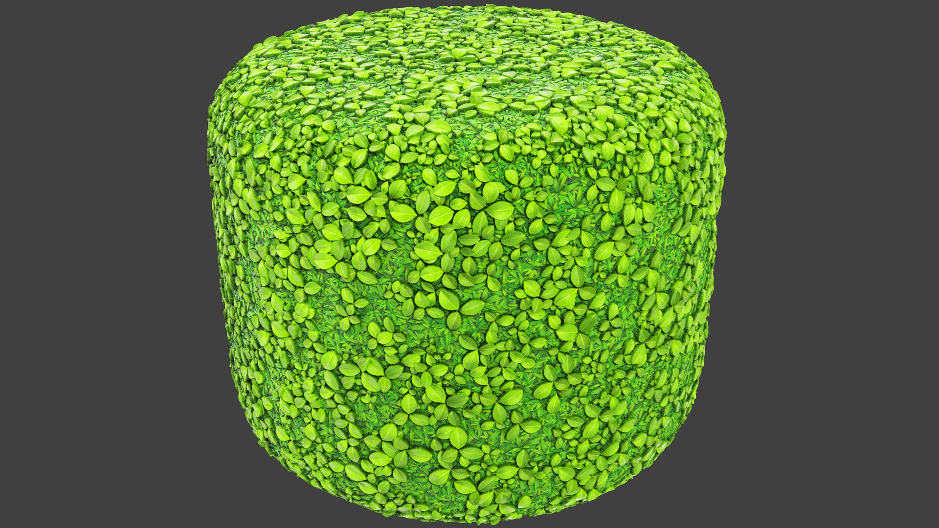 3D Stylized Cylinder Bush V1 model - TurboSquid 2095931