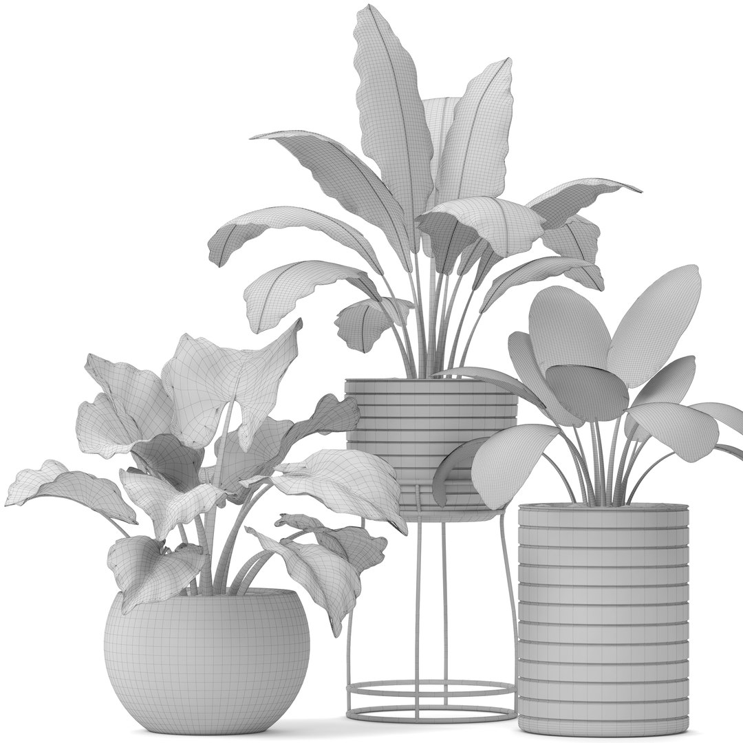 3D Plants Pot Model - TurboSquid 1150813