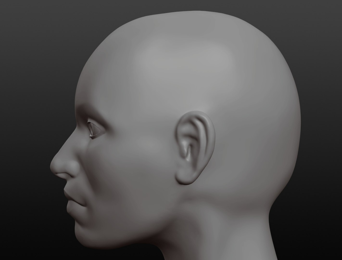 Female Head Base Mesh 3D Model - TurboSquid 1625906